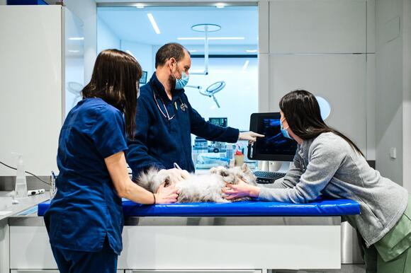 People Are Sharing The Professions That Deserve Way More Respect, And I ...