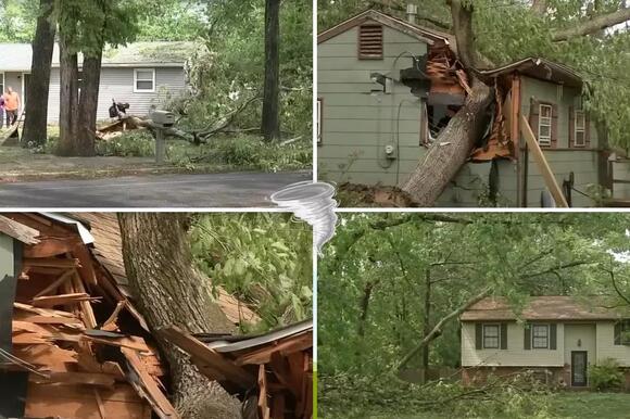Man arrested after throwing rock at school bus on NJ Turnpike - NewsBreak