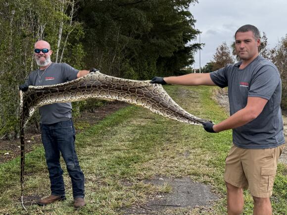 The trappers say they will use the skin to create clothes and small ...