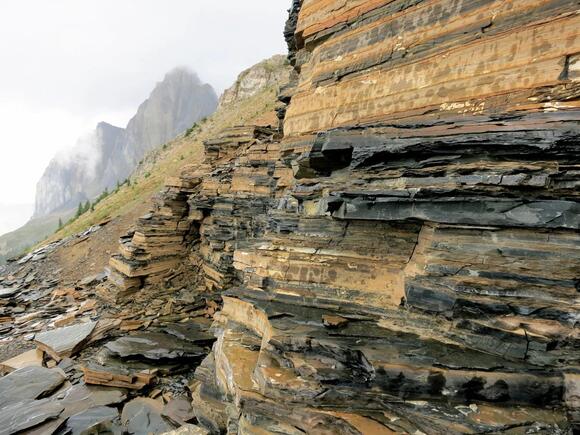 The Burgess Shale of British Columbia: Where Evolution’s Strangest ...