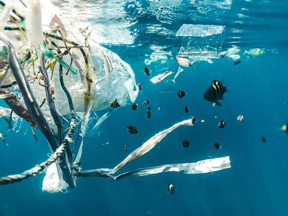 The Microplastic Mind: How Microscopic Synthetics Are Secretly Crossing ...