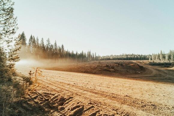 The Controversial Role of Deforestation in Protecting Human Livelihoods ...