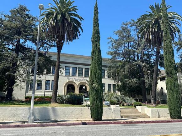 PUSD Tree Removal Plan Sparks Outcry Over Transparency and ...