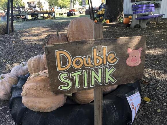 What Pumpkin Flavored Food Do Montanans Love The Most - NewsBreak