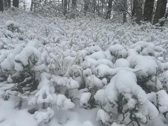 Weekend winter storm likely. Is it the ‘big one’ or just a big mess? It ...