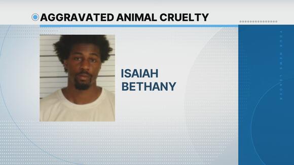 Memphis employee accused of animal cruelty: ‘Dogs buried in the ...