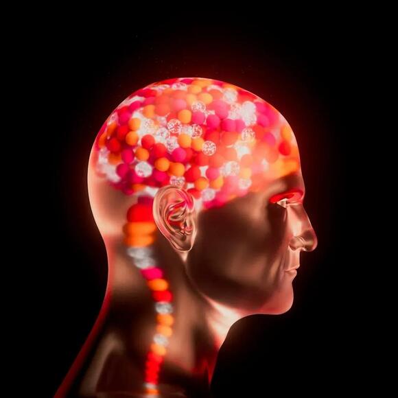 What Happens to Your Brain in the 90 Seconds After Someone You Love ...