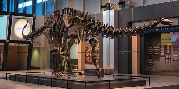 The Embarrassing Reason a Beloved Dinosaur Was Reclassified and Museums ...