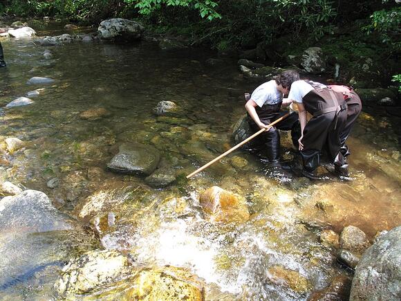 Wildlife Conservation as a Key Factor in Preventing Zoonotic Diseases ...