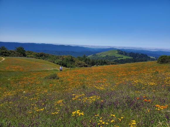 6 Beginner-Friendly Ridge & Reservoir Hikes Under 40 Minutes From ...