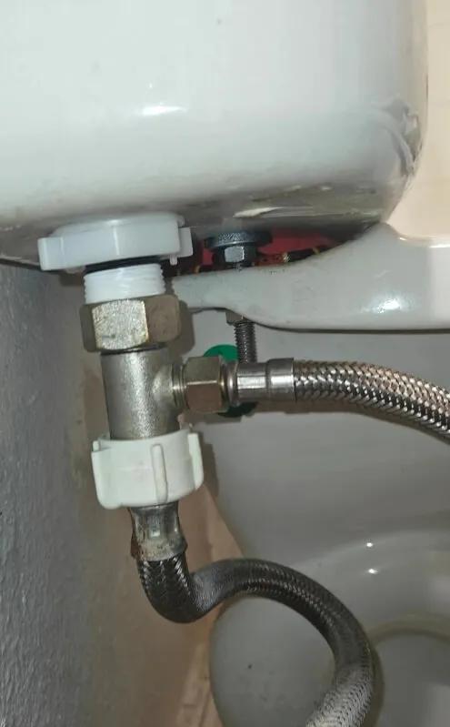 Phone camera reveals escaped coral snake napping beneath toilet in ...