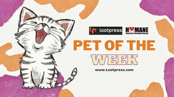 Pet of the Week submissions are now open!