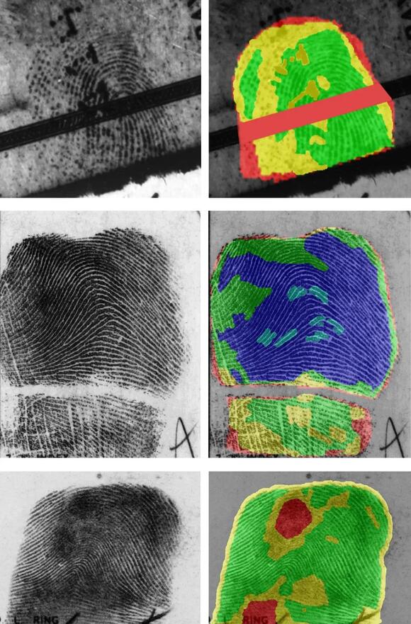 What Makes Our Fingerprints Unique? - NewsBreak
