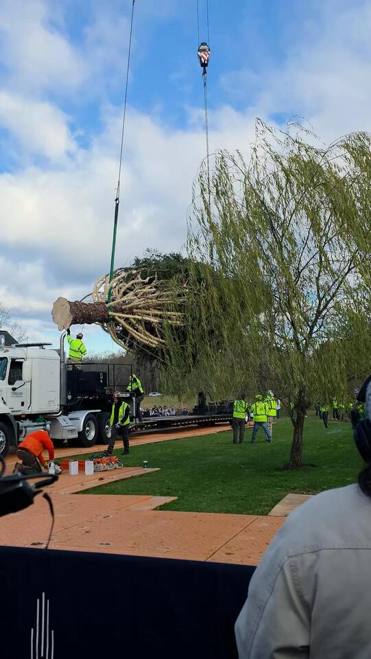 Westmoreland New York Pee Wee Cheerleaders Need Your Help - NewsBreak