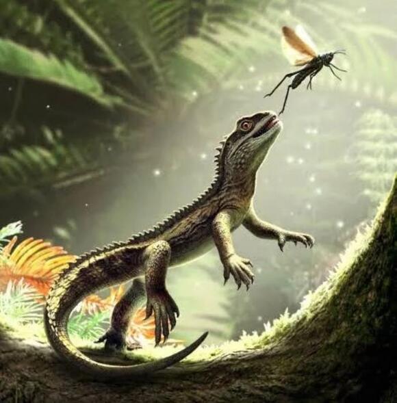 Devon Discovery: 242-Million-Year-Old Fossil Reshapes Lizard Evolution ...