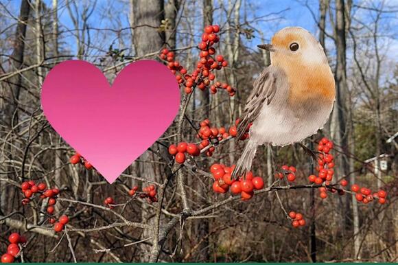 Valentine’s Day events across New Jersey you need to book now - NewsBreak