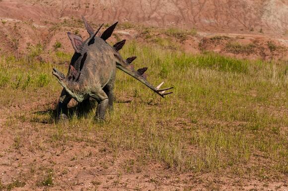 Allosaurus vs. Stegosaurus: Inside the Jurassic’s Iconic Predator–Prey ...