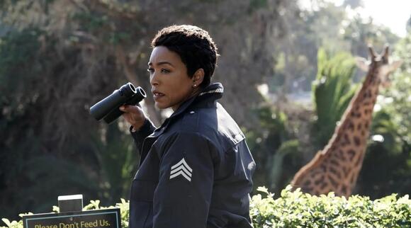 8 firefighter shows to watch if 9-1-1 has you hooked - NewsBreak
