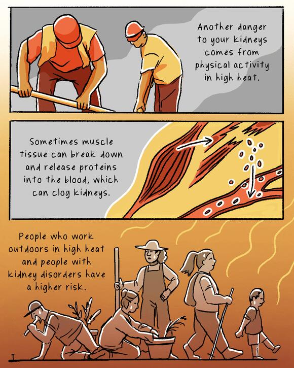 COMIC: How excessive heat kills and how to stay safe - NewsBreak