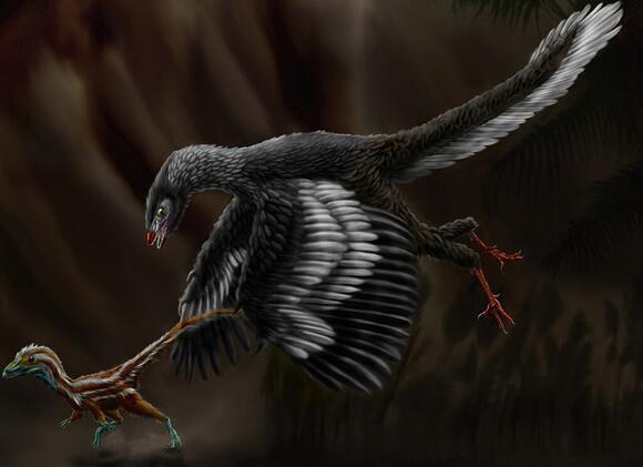 The Bird With Teeth: Why This Ancient Flier Was a Dinosaur in Disguise ...