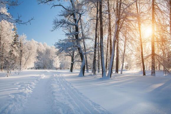 Shocking Winter Stats Just Released For All Of New York - NewsBreak