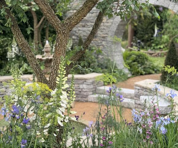 'This garden is for the wallflowers' – The Bridgerton Garden captures ...