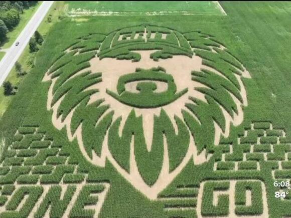 Massive Detroit Lions & Dan Campbell corn maze set to open on Sept. 28 ...