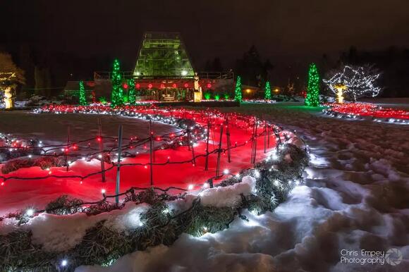 Why East Fishkill Erected a Grinch Christmas Tree - NewsBreak