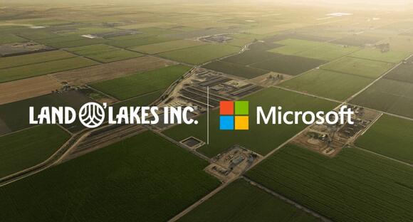 Microsoft and Land O’Lakes Launch ‘Oz’ AI Assistant to Modernize ...