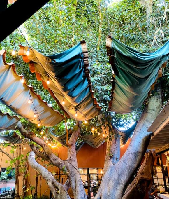 6 Ways you Haven't Thought of Yet to Feel the Love in Los Angeles ...