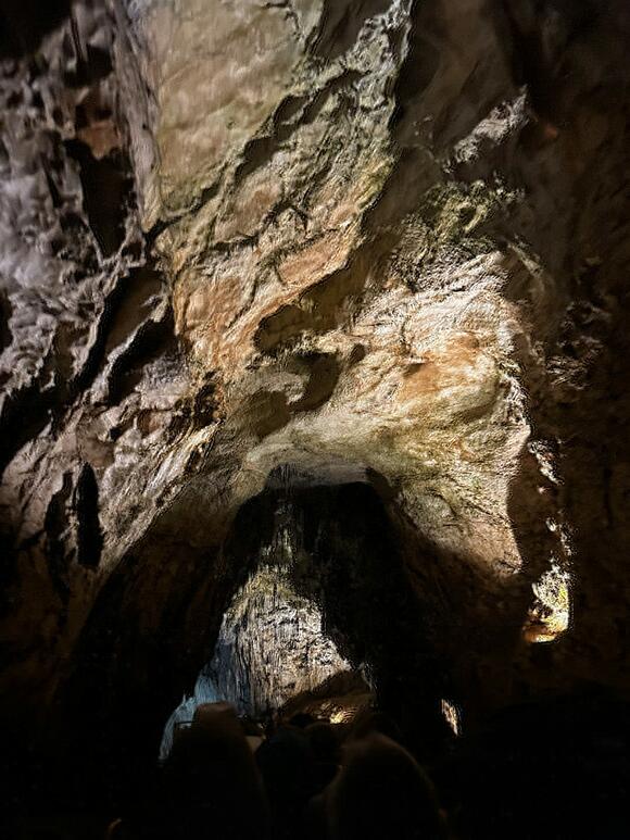 In Slovenia, Cave Beetles and Blind Salamanders Share a Nightclub-Like ...