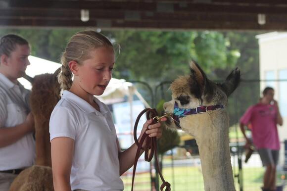 AgriCulture: Cecil County 4-H Open House, Calvert Grange Craft ...
