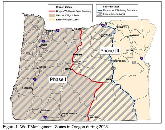 Poisoning of wolves ‘becoming an epidemic’ in Oregon