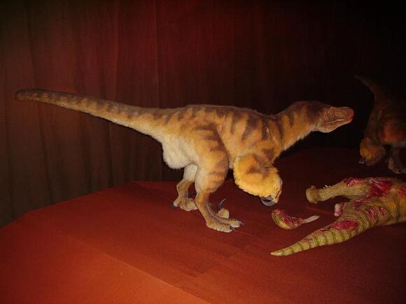 Raptor Revelations: 8 Ways Velociraptors Were Smarter Than You Think ...