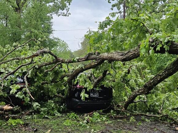 Five confirmed tornadoes landed in Middle Tennessee this week