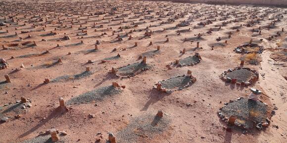 The Day the Sky Fell: Fossils From Earth’s Worst Extinction Event ...