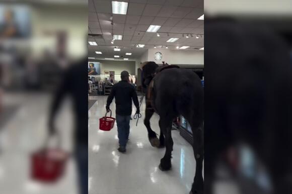 Man Brings Horse Inside Dallas Target Caught on Video - NewsBreak