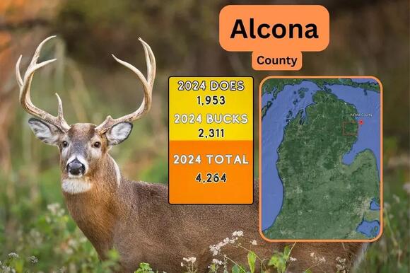 UPDATED: CWD Creeps Across Michigan: 16 Counties and Counting - NewsBreak