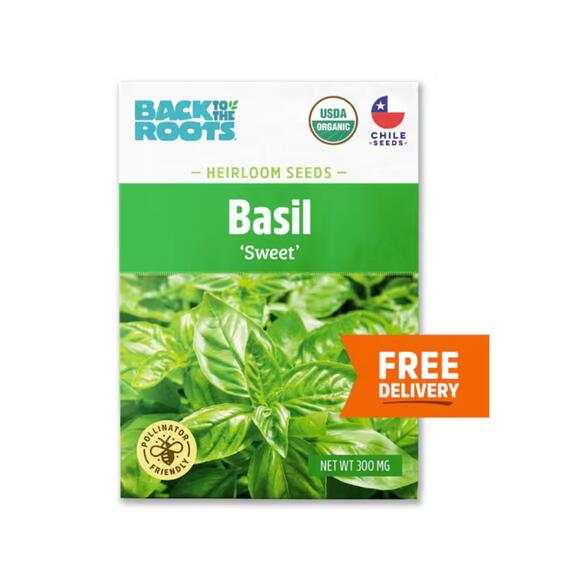 Do This 1-Minute Basil Ritual on the First of the Month to Attract Good ...