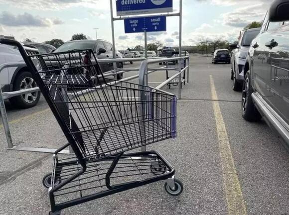 With the Penny Gone, What’s the Fate of Meijer’s Sandy the Pony Ride ...