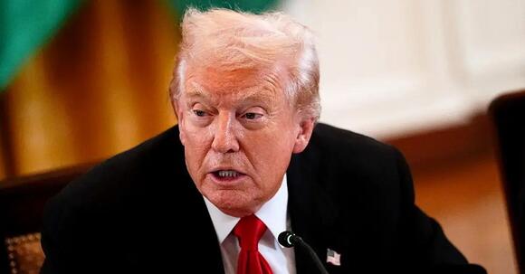 Revealed: The Huge Error Donald Trump Could Be Making by Launching New ...
