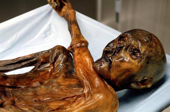 The Prehistoric ‘Ötzi The Iceman’ Mummy May Have Just Upended Experts ...