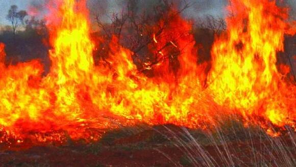Burn ban issued for county - NewsBreak