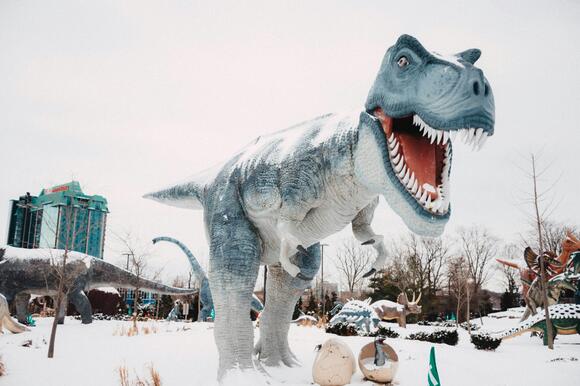 Did Dinosaurs Have Night Vision? What Their Eyes Tell Us - NewsBreak