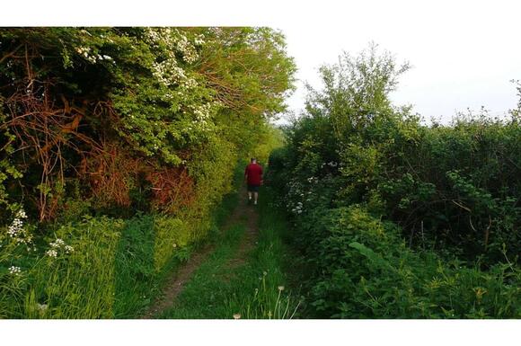 The Impact of Wildlife Corridors on Global Conservation Efforts - NewsBreak