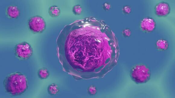 The Mystery of Cosmic Radiation How Space Affects Life Forms in Our ...