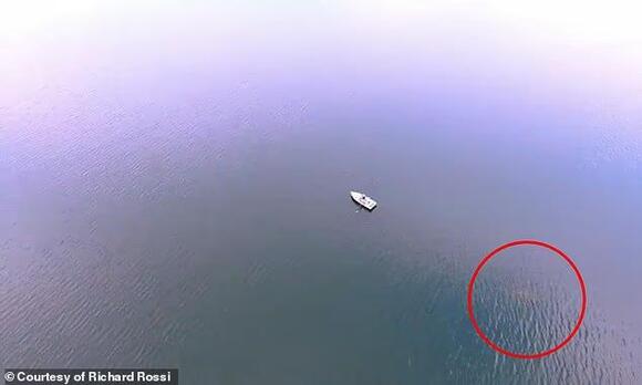 Mystery of America's Nessie deepens as strange creature appears behind ...