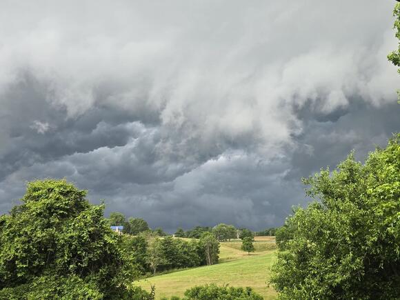 Trees down, power outages reported after storms travel through the Tri ...