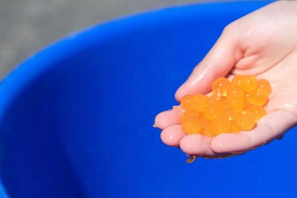 Wyoming Offers Summer Camps For Fishing, Hunting, And More - NewsBreak