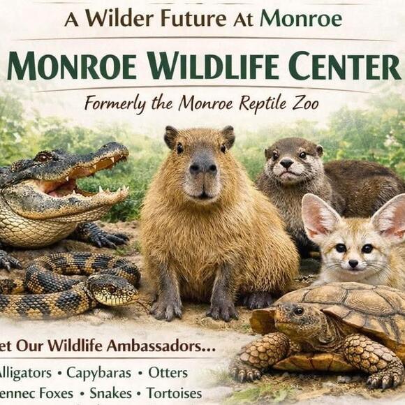 Monroe Reptile Zoo becomes Monroe Wildlife Center - NewsBreak